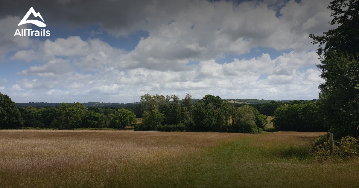 10 Best Trails, Walks, and Paths in Crowborough | AllTrails