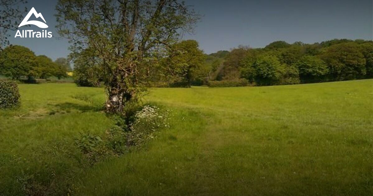 10 Best trails and hikes in Crowhurst | AllTrails