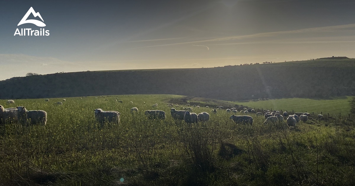 Best Trails, Walks, and Paths in Peacehaven | AllTrails