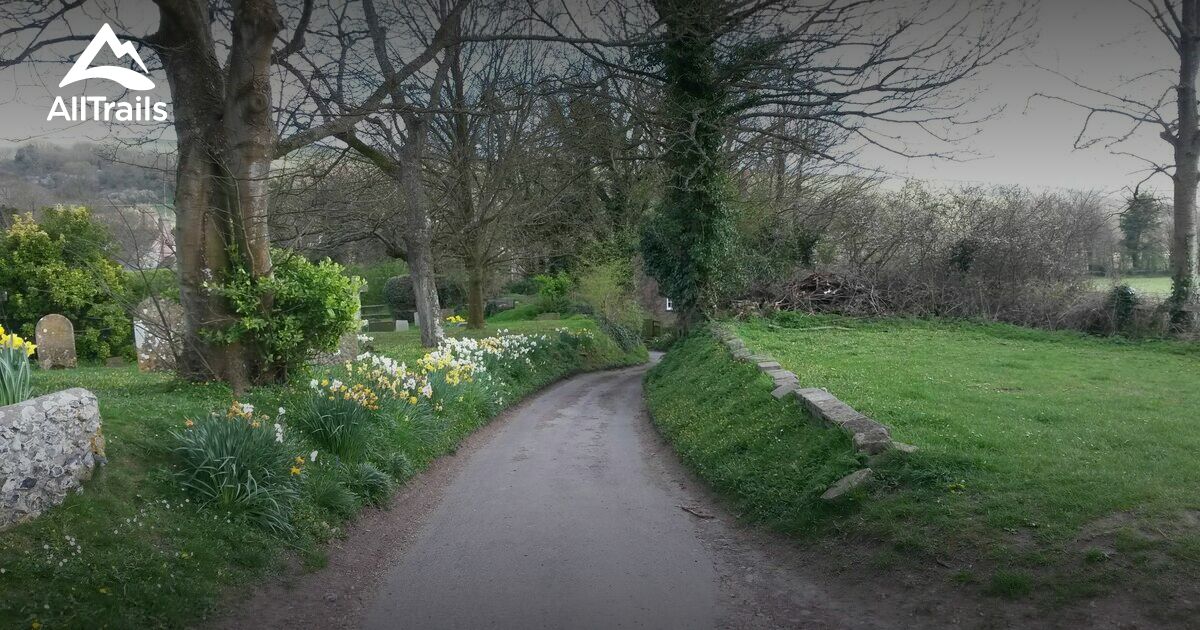 10 Best Trails, Walks, and Paths in Polegate | AllTrails