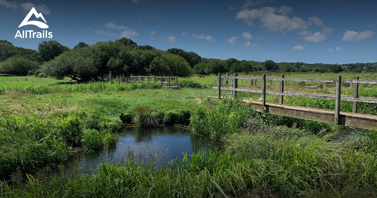 Best Trails, Walks, and Paths in St. Leonards-On-Sea | AllTrails
