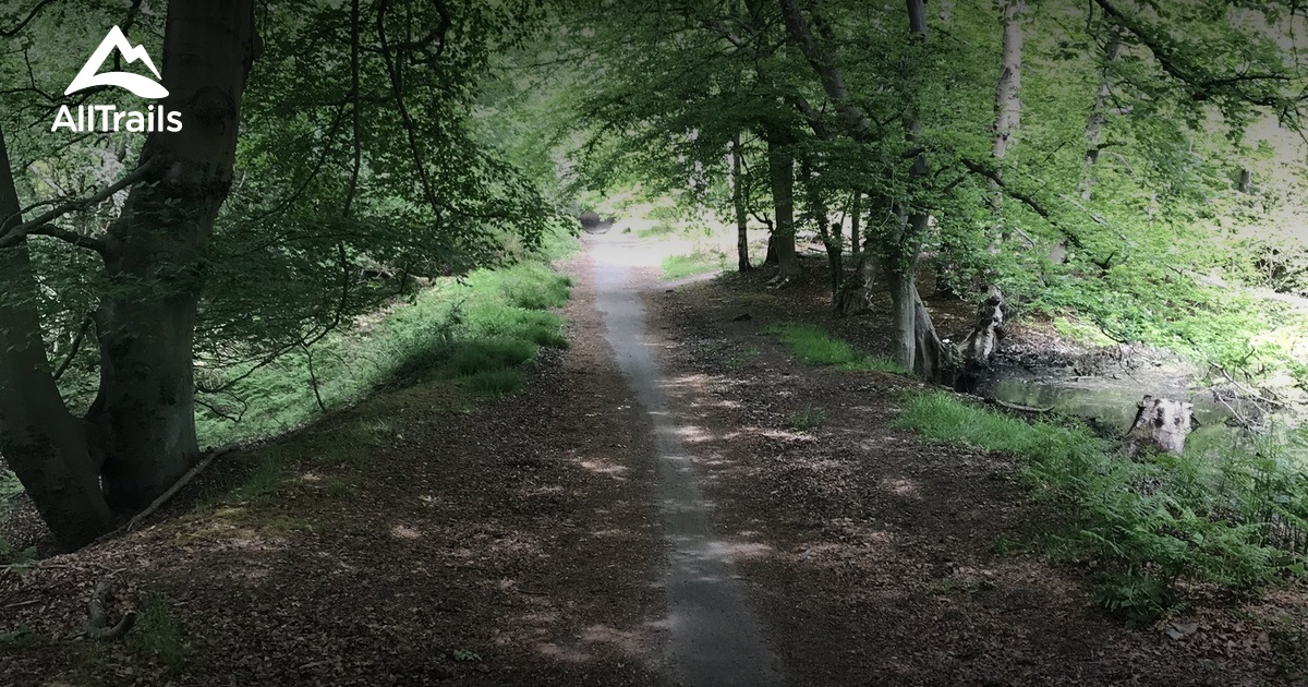 10 Best trails and hikes in Epping | AllTrails