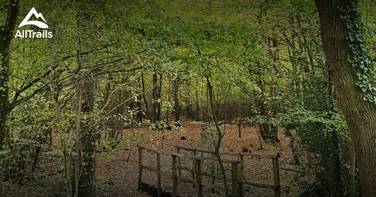 Best hikes and trails in Leigh-on-Sea | AllTrails