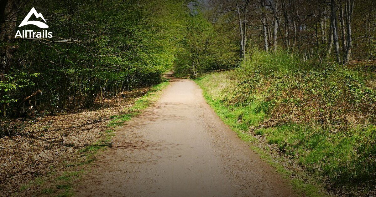 Best river trails in Loughton | AllTrails