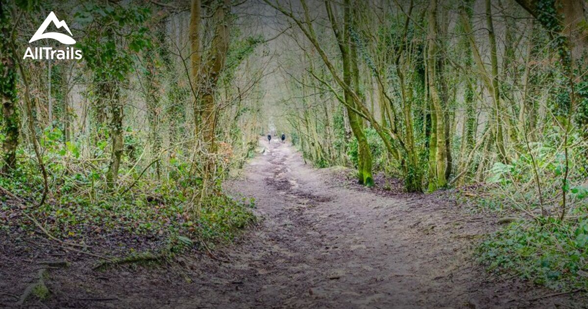 10 Best Trails, Walks, and Paths in Cheltenham | AllTrails