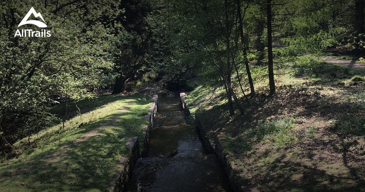 10 Best walking trails in Lydney | AllTrails