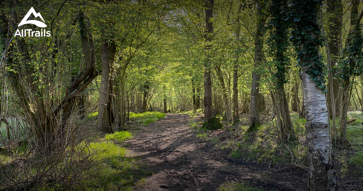 10 Best walking trails in Andover | AllTrails