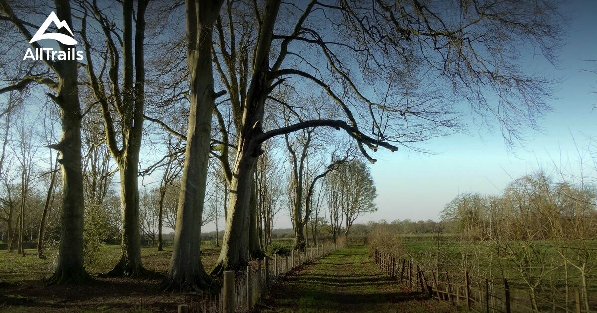 10 Best trails and hikes in Basingstoke | AllTrails