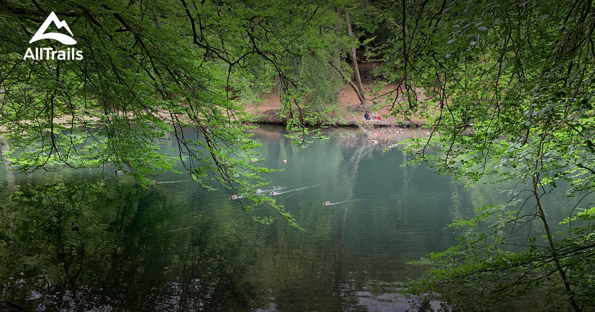 10 Best trails and hikes in Bordon | AllTrails