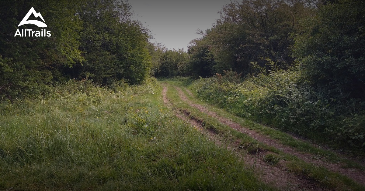 10 Best walking trails in Fordingbridge | AllTrails