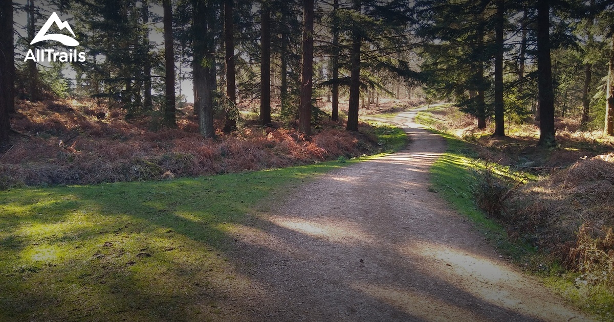 Best easy trails in Fritham | AllTrails