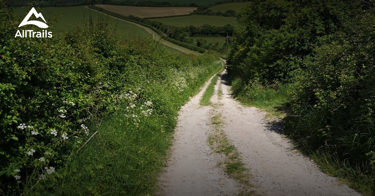 10 Best trails and hikes in Kingsclere | AllTrails