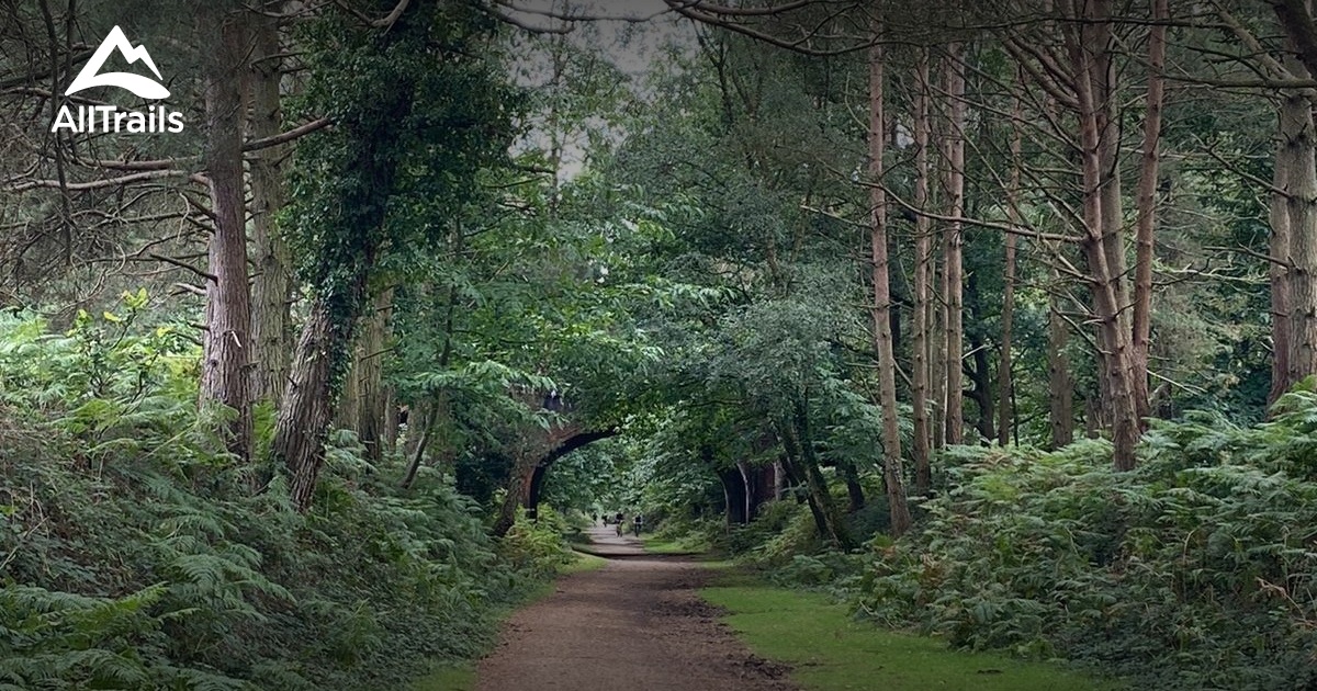 Best Trails, Walks, and Paths in New Milton | AllTrails