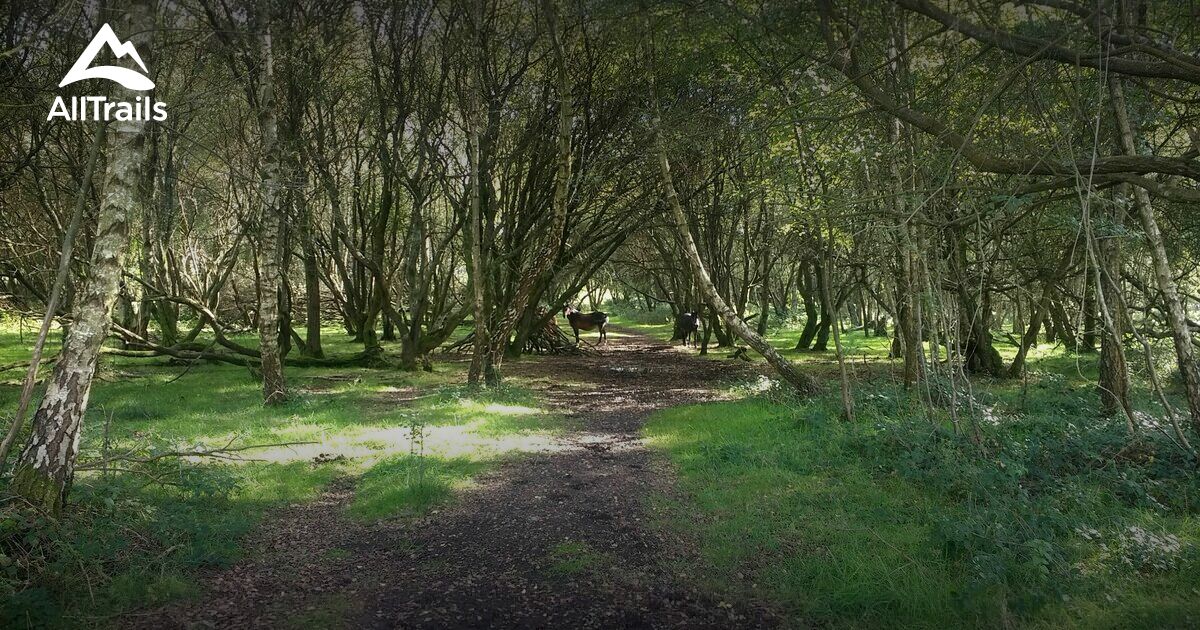 10 Best walking trails in Romsey | AllTrails