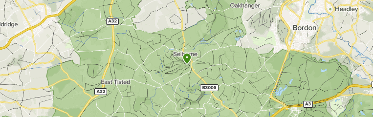 Best Hikes and Trails in Selborne | AllTrails