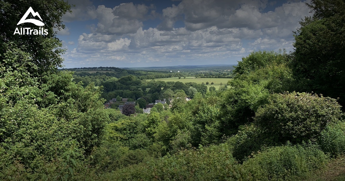 Best hikes and trails in Selborne | AllTrails