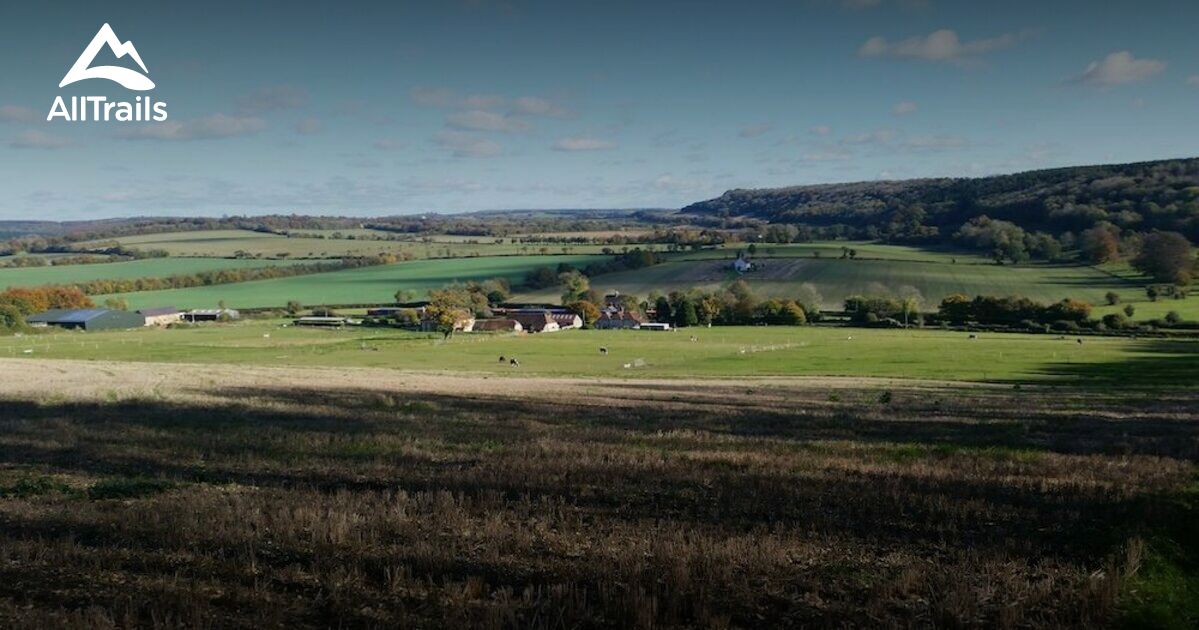 10 Best walking trails in Waterlooville | AllTrails