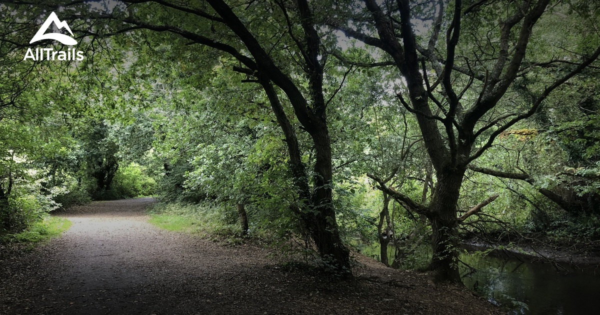 Best walking trails in Winchfield | AllTrails