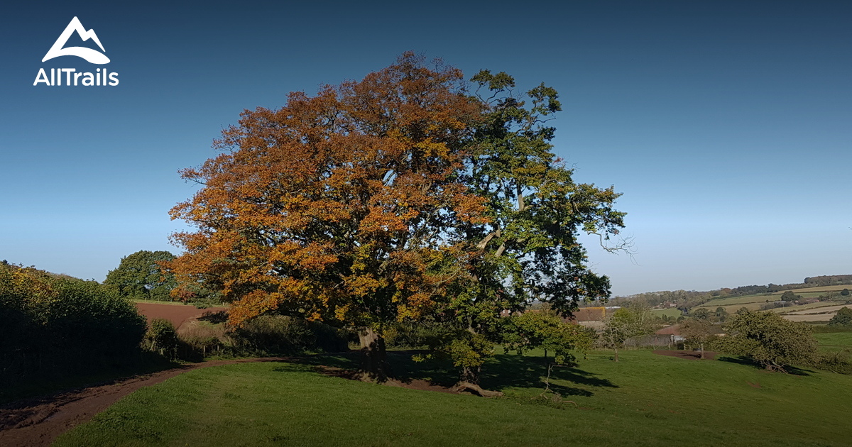 Best Trails, Walks, and Paths in Bromyard | AllTrails