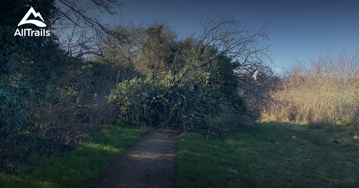 Best Trails, Walks, and Paths in Letchworth Garden City | AllTrails