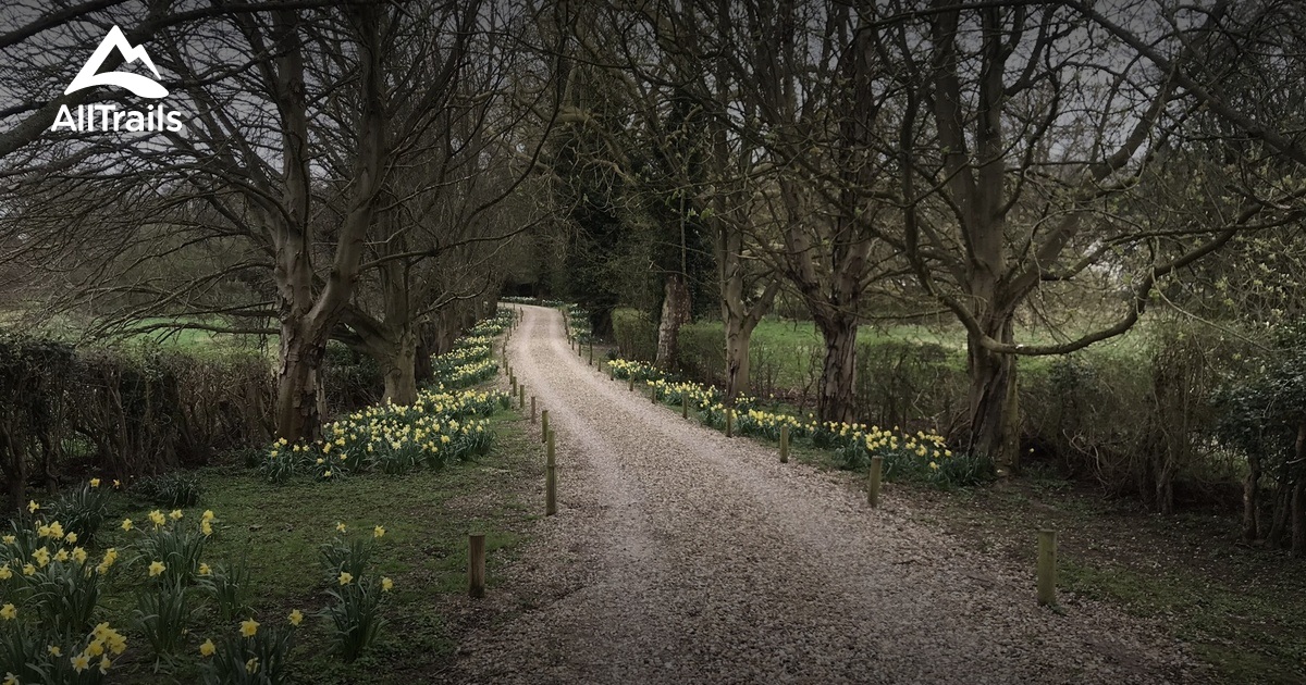 Best forest trails in Much Hadham | AllTrails