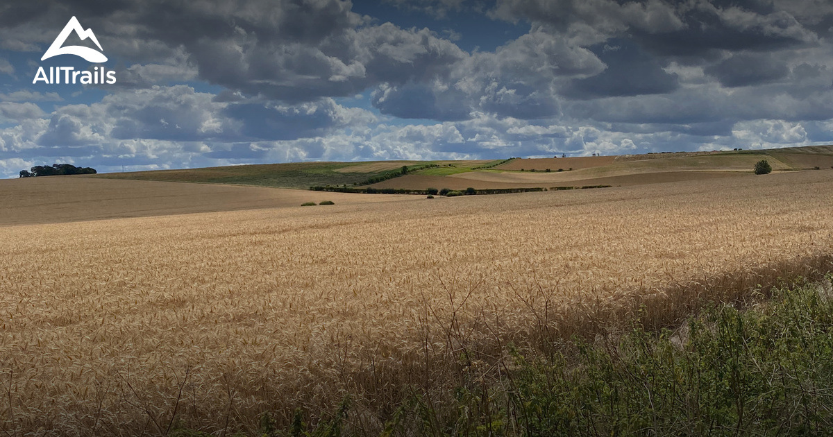 10 Best Trails, Walks, and Paths in Royston | AllTrails