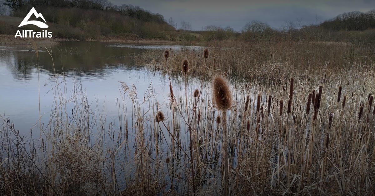 10 Best Trails, Walks, and Paths in St Albans | AllTrails