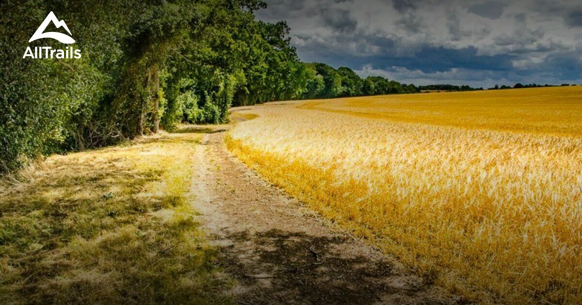 10 Best Trails, Walks, and Paths in Ware | AllTrails