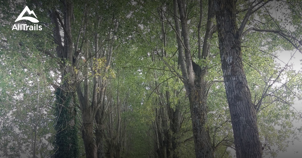 Best walking trails in Biggin Hill | AllTrails