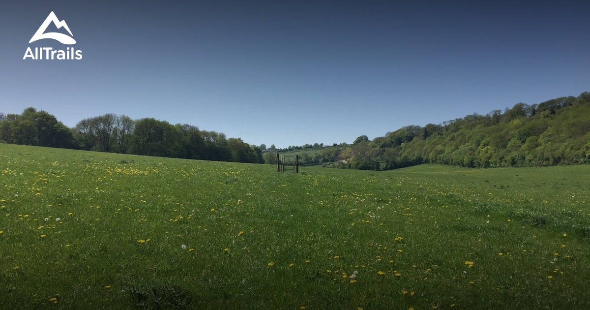 Best Wild Flowers Trails in Meopham | AllTrails