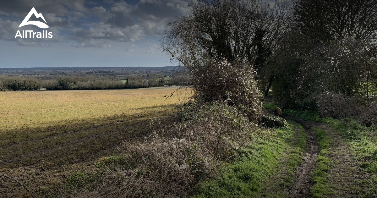 10 Best Trails, Walks, and Paths in West Malling | AllTrails