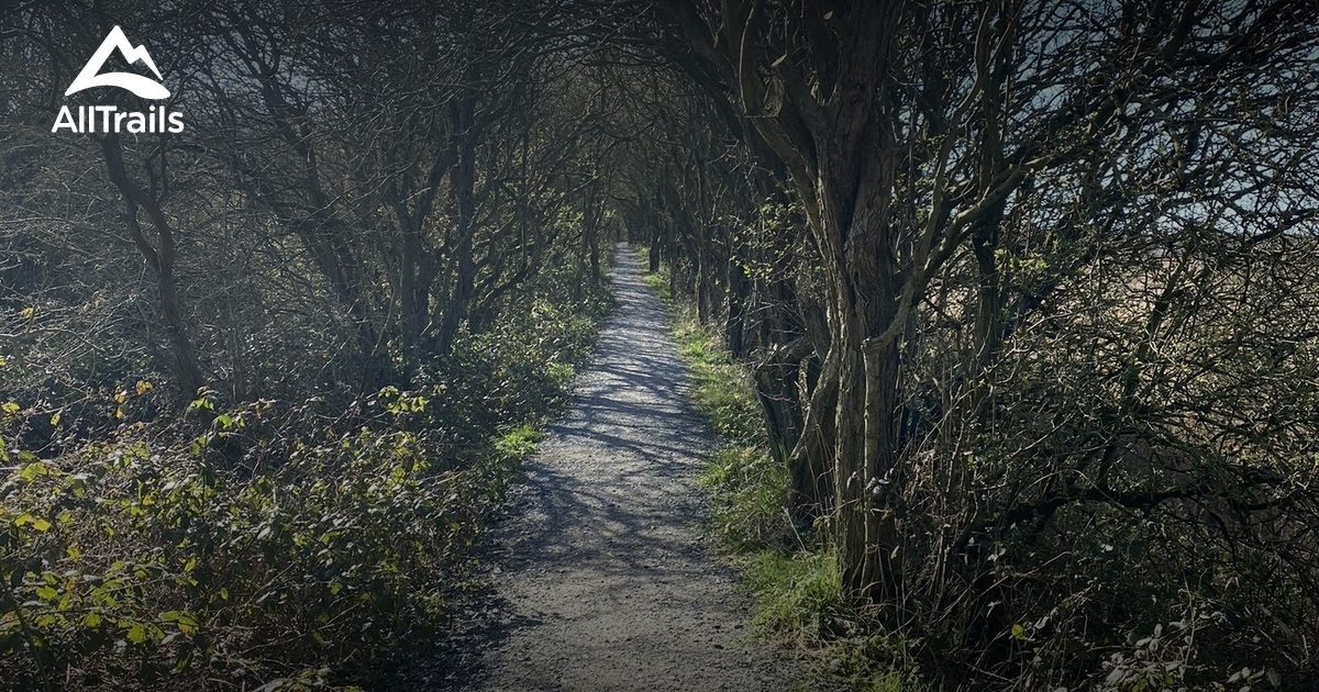 Best bird watching trails in Fleetwood | AllTrails