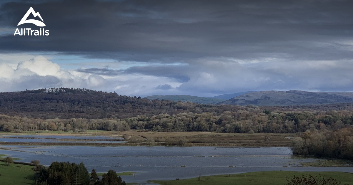 10 Best Trails, Walks, and Paths in Silverdale | AllTrails