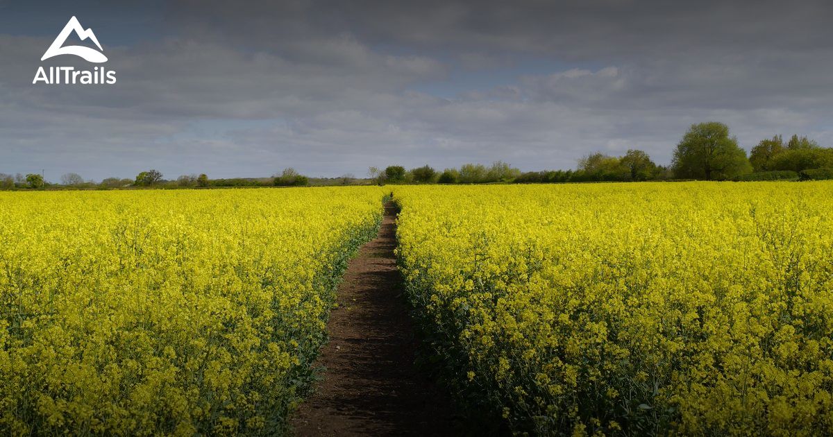 Best Trails near Hinckley, Leicestershire England | AllTrails