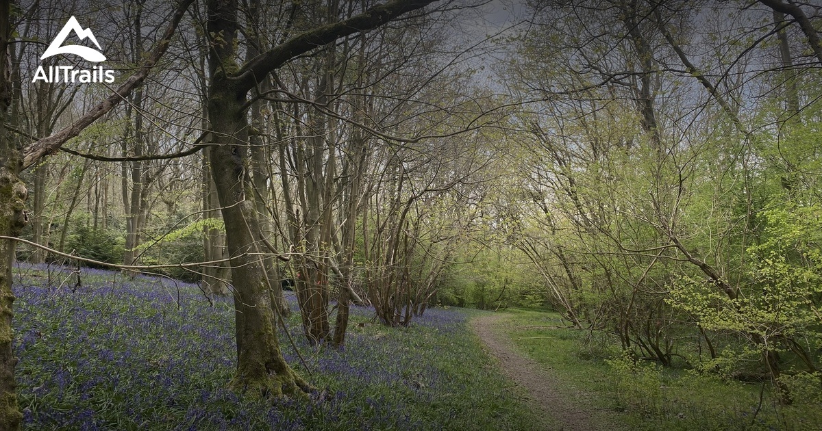 Best views trails in Tilton on the Hill | AllTrails