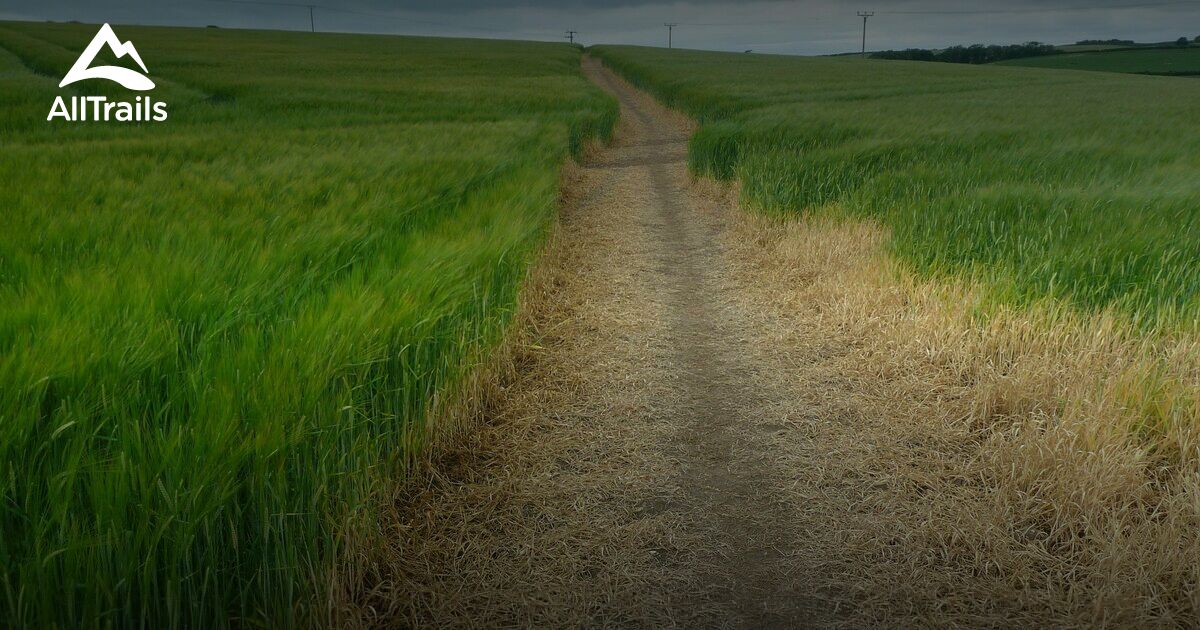 Best walking trails in Binbrook | AllTrails