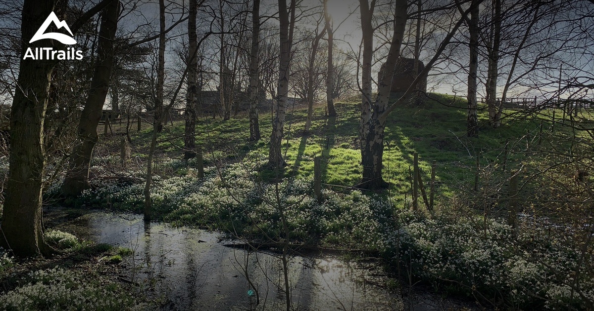 10 Best Trails, Walks, and Paths in Woodhall Spa | AllTrails