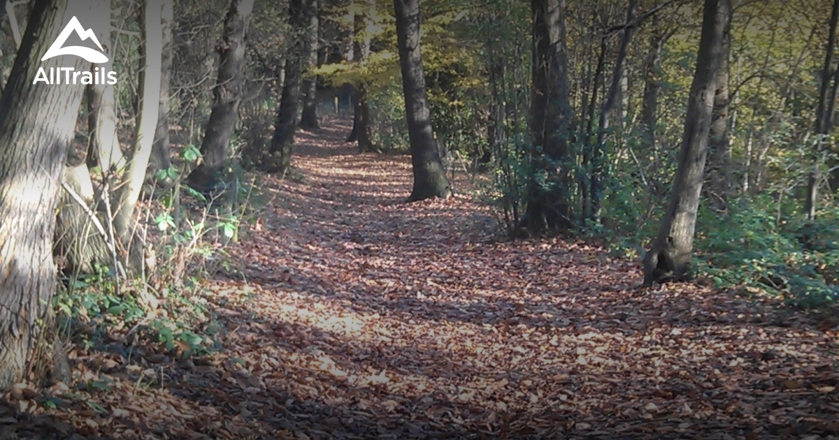 10 Best trails and hikes in Bexley | AllTrails