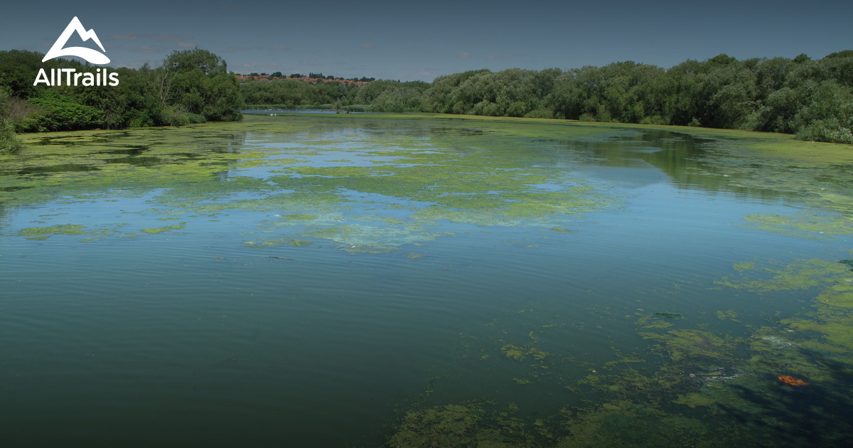 10 Best trails and hikes in Brent | AllTrails