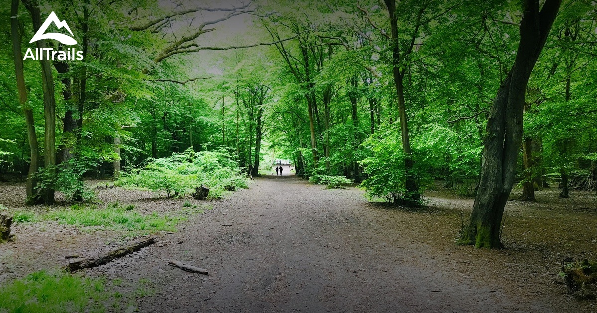 10 Best trails and hikes in Hillingdon | AllTrails