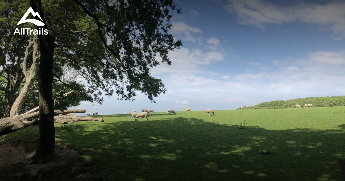 Best hikes and trails in Billinge | AllTrails