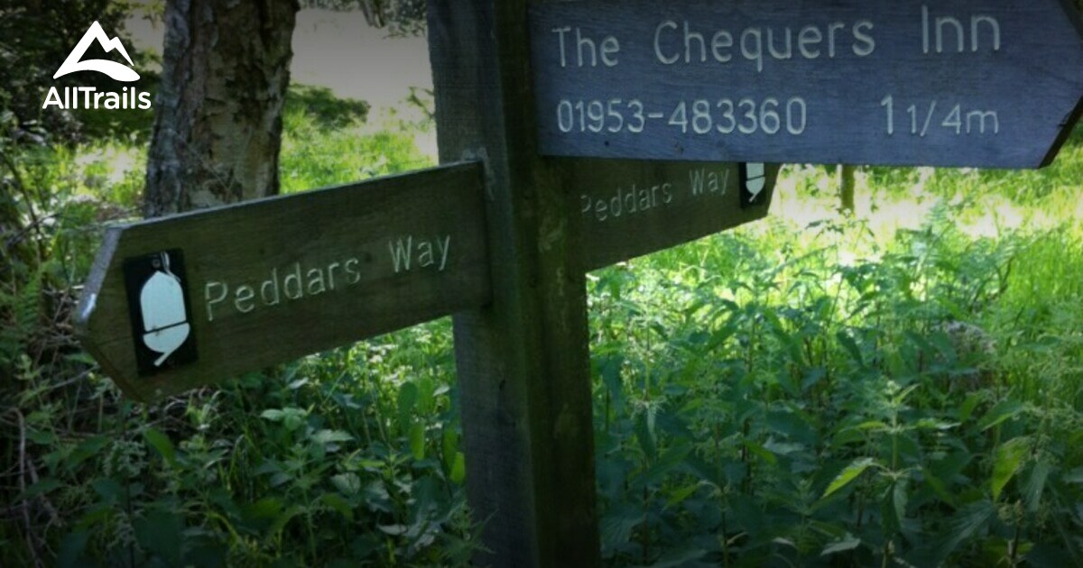 10 Best Trails, Walks, and Paths in Diss | AllTrails