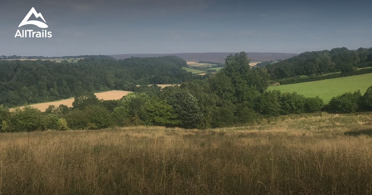 Best hikes and trails in Appleton-le-Moors | AllTrails