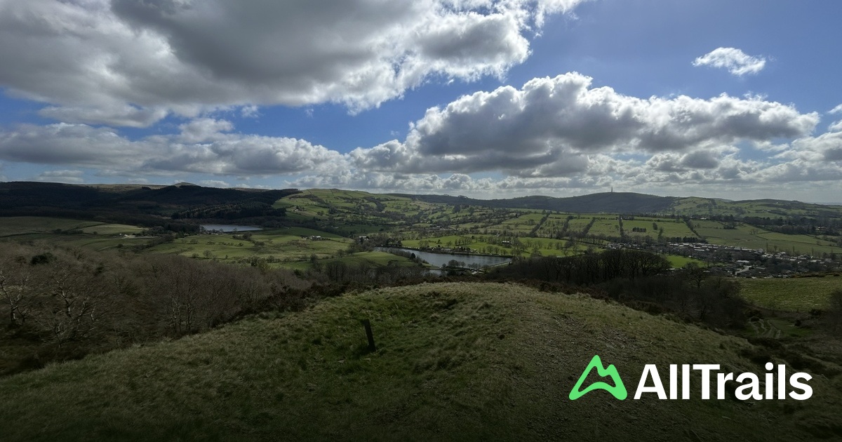 Best Trails, Walks, and Paths in Langley | AllTrails