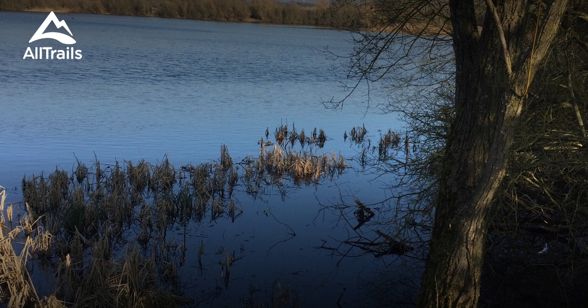 Best forest trails in Rushden | AllTrails