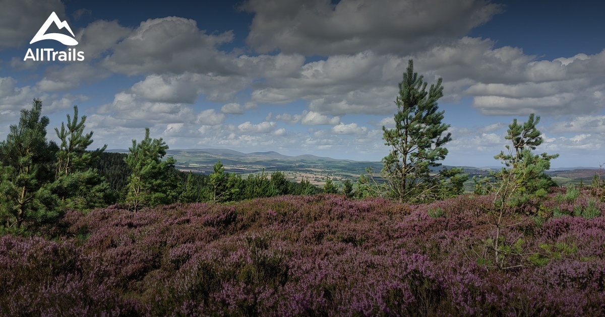 10 Best walking trails in Morpeth | AllTrails