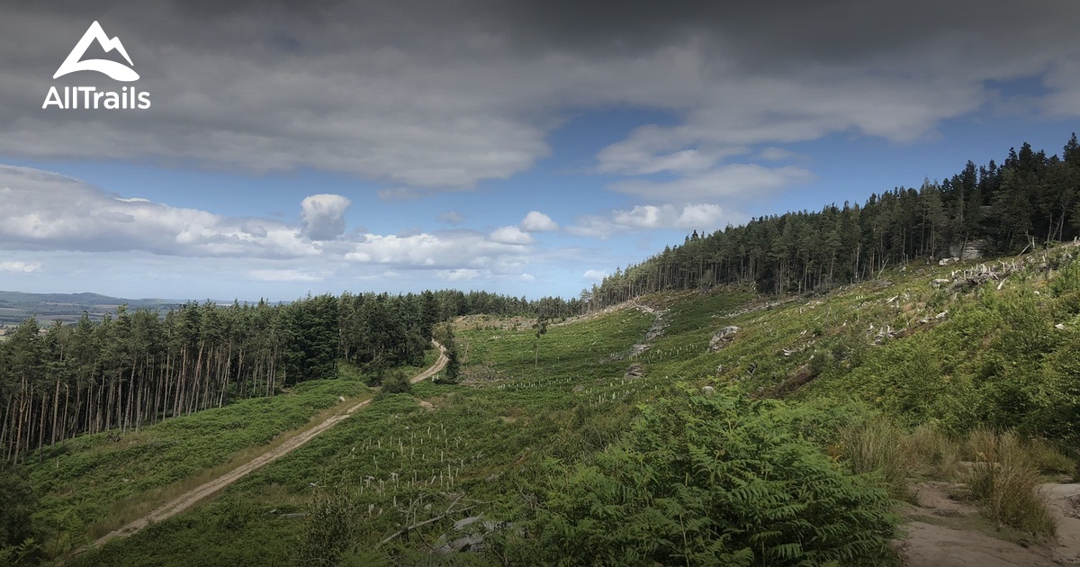 10 Best Trails, Walks, and Paths in Rothbury | AllTrails