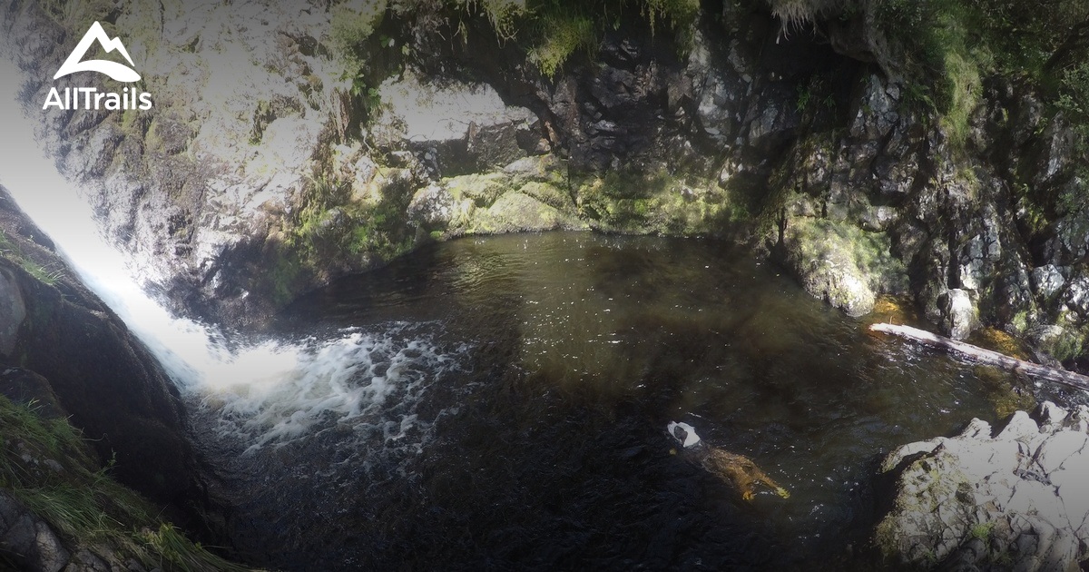 10 Best Trails, Walks, and Paths in Wooler | AllTrails