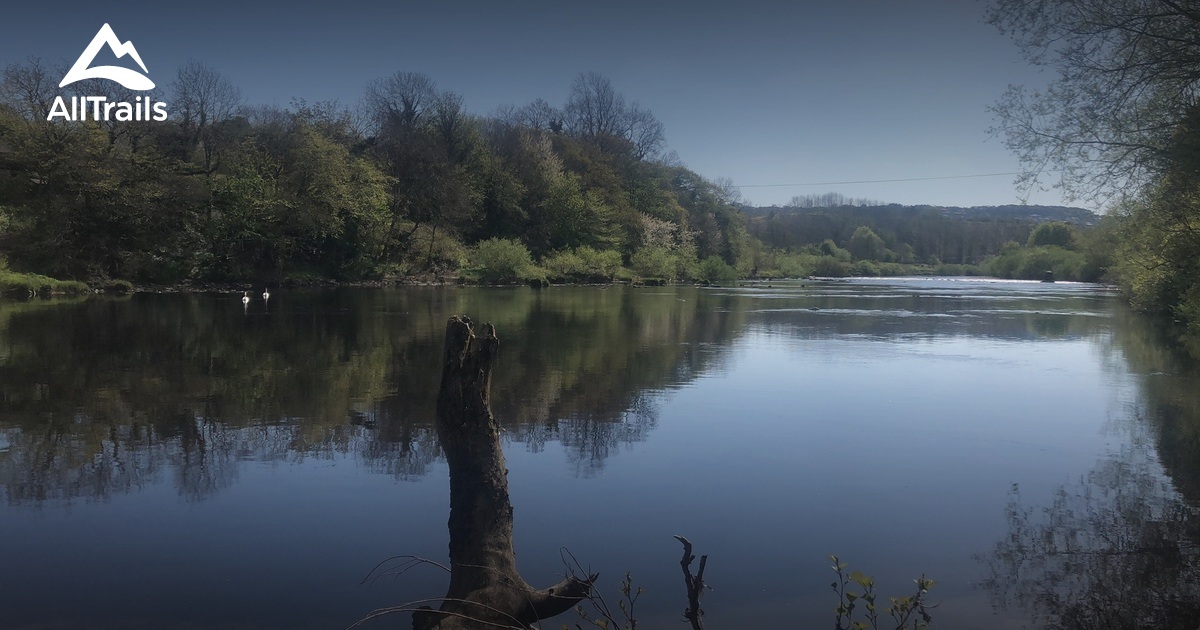 Best walking trails in Wylam | AllTrails