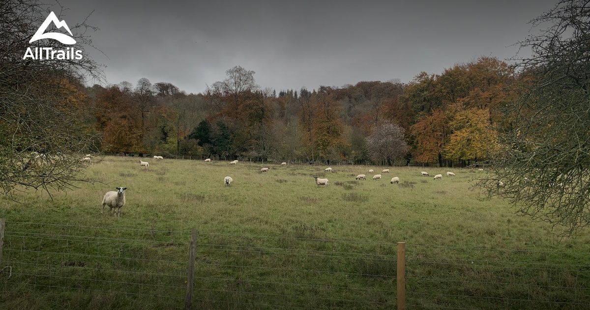 10 Best Trails, Walks, and Paths in Watlington | AllTrails